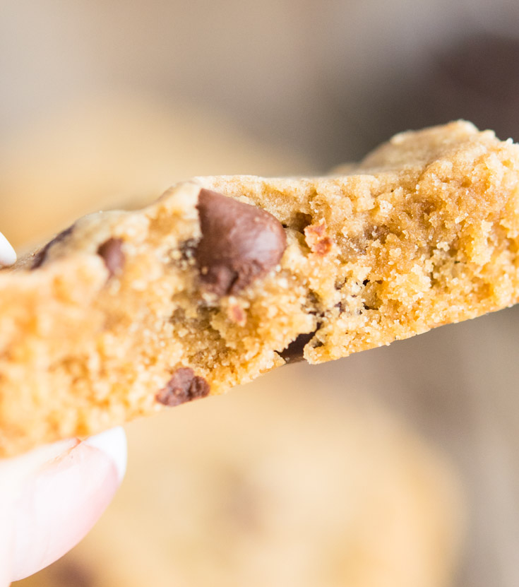 Peanut Butter Chocolate Chip Cookies - Gonna Want Seconds
