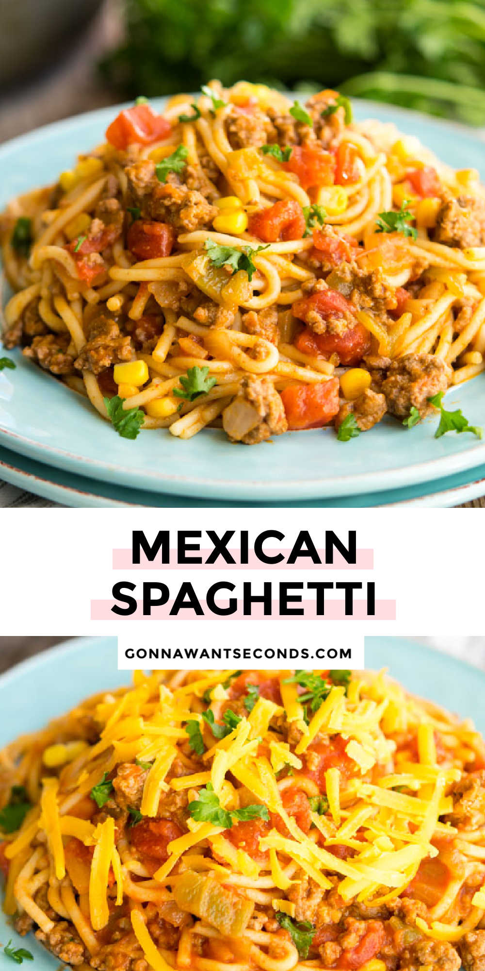 Mexican Spaghetti Recipe {Fideo} Gonna Want Seconds