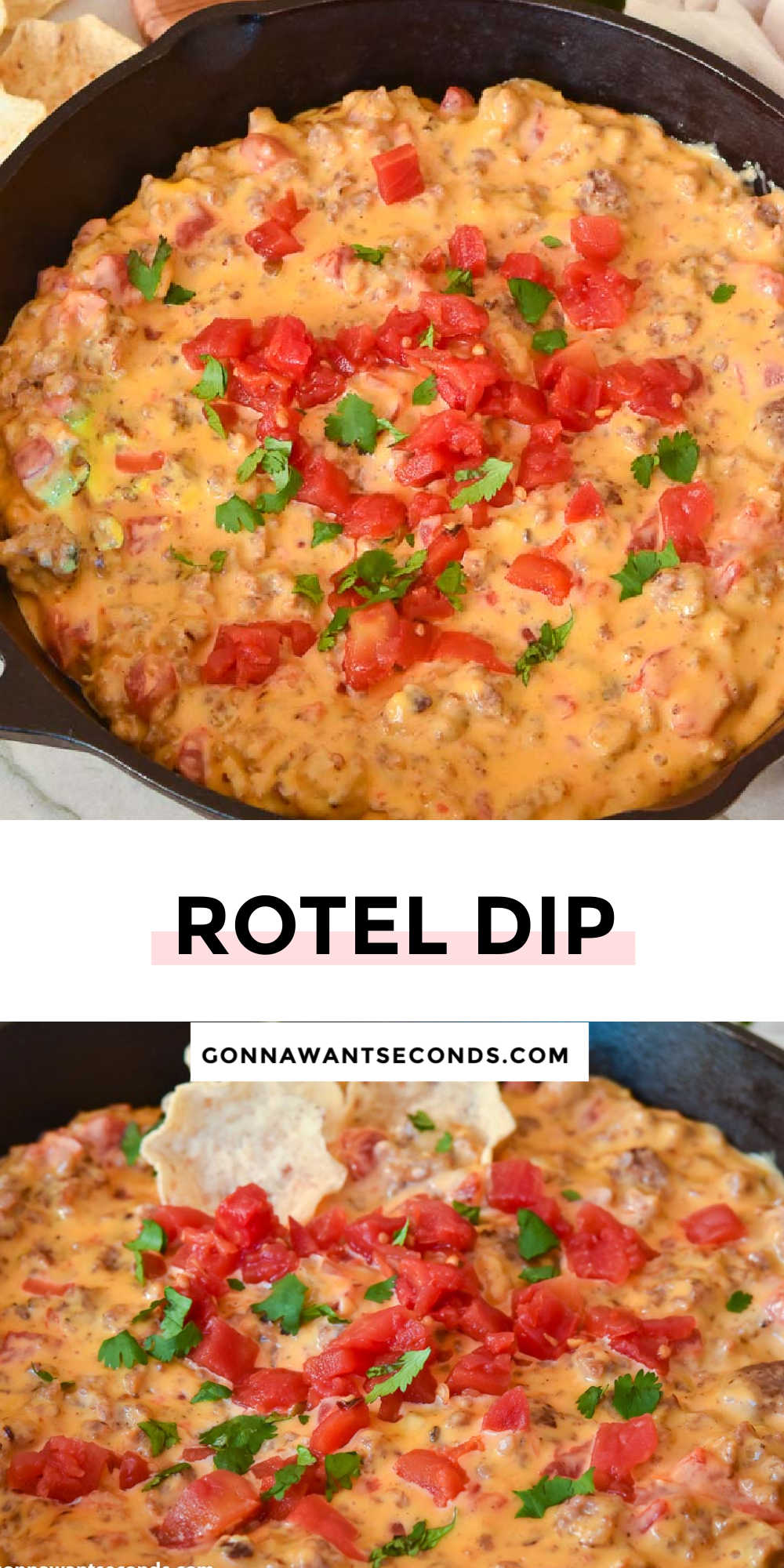 Rotel Dip - Gonna Want Seconds
