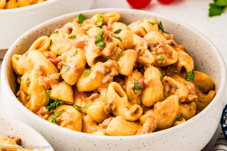 One Pot Cheeseburger Macaroni {Creamy Comfort Dinner}